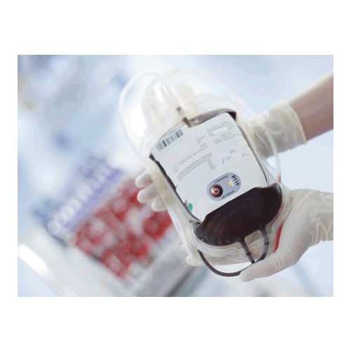 Blood Temp Temperature Indicators For The Transport Of Blood Bags